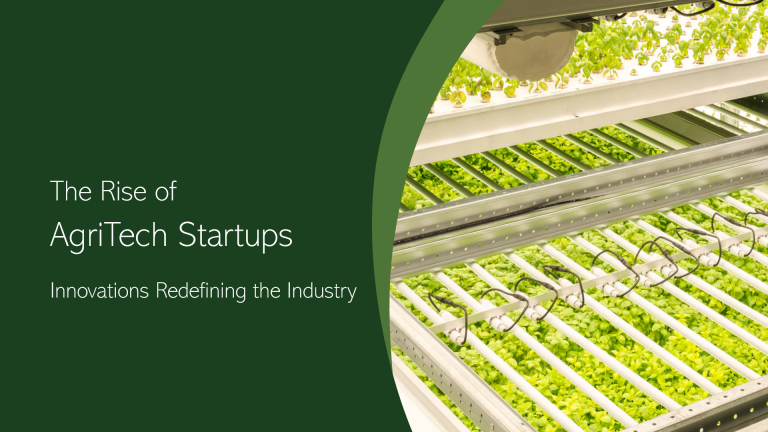 The Rise of AgriTech Startups: Innovations Redefining the Industry – Vermas